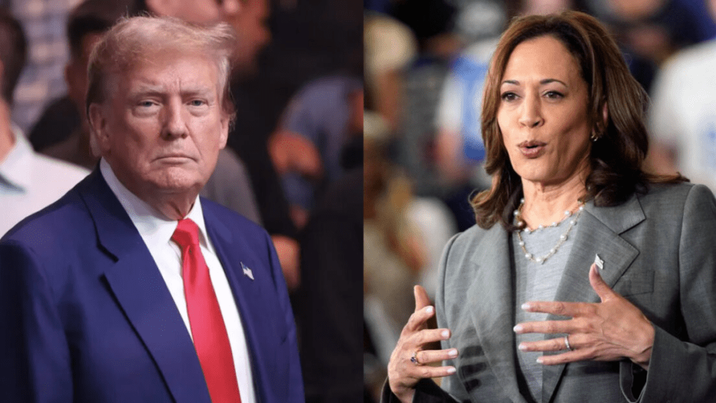 Harris zero votes in New York districts sparks lawsuit as Trump gains ...